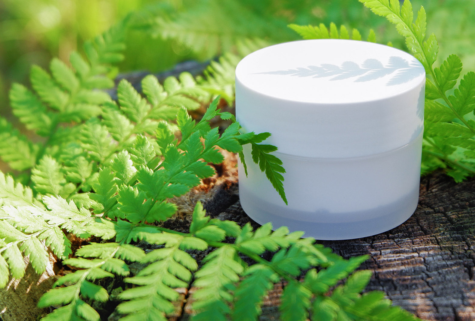 Custom Green OEM Kitchenware Manufacturing | A Life Sustainable Works ...
