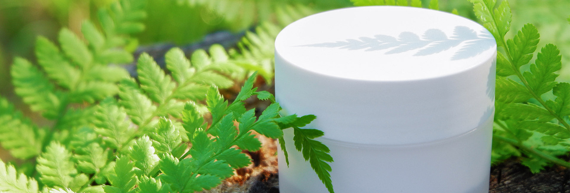 Bioplastic Manufacturing | Biodegradable Plastic Products – ALife ...